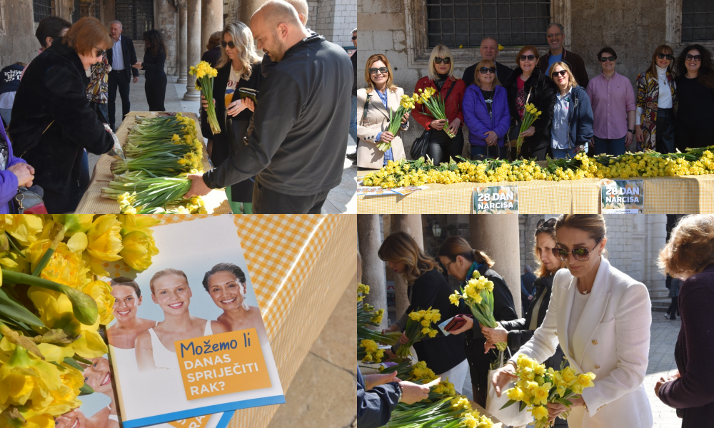 FOTO/VIDEO Ispred Sponze po 28. put obilježen Dan narcisa | Dubrovnik ...